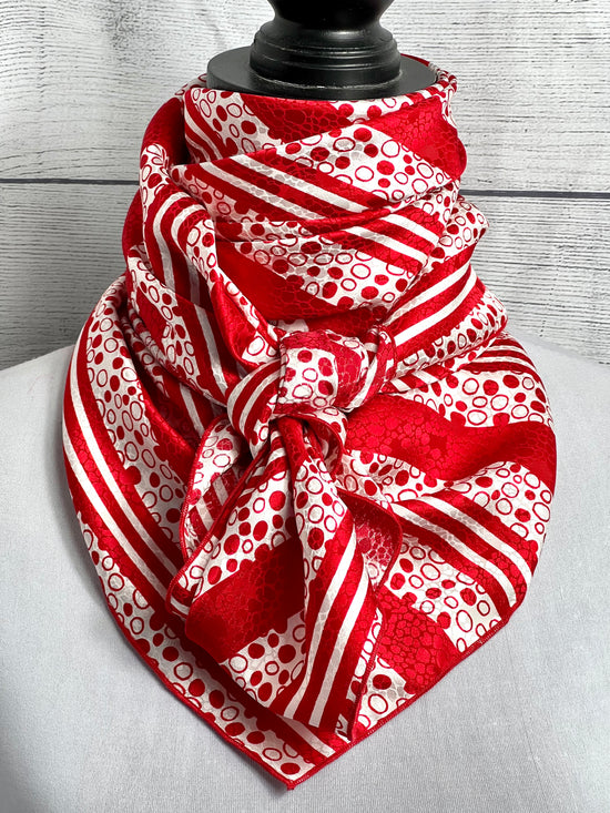 Silk Wild Rags – Page 8 – Wild West Rag Co